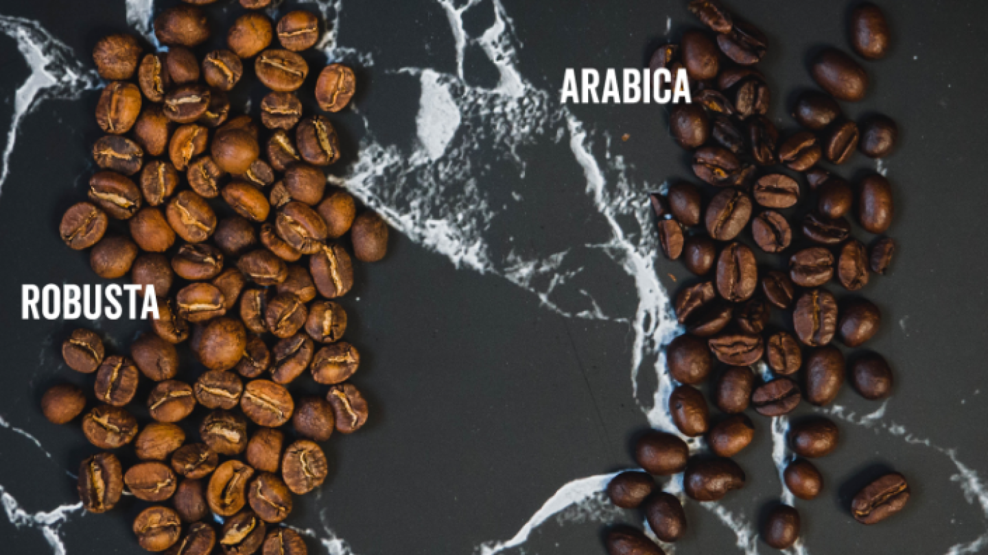 Differences betwen Arabica and Robusta beans - Nestlé Professional